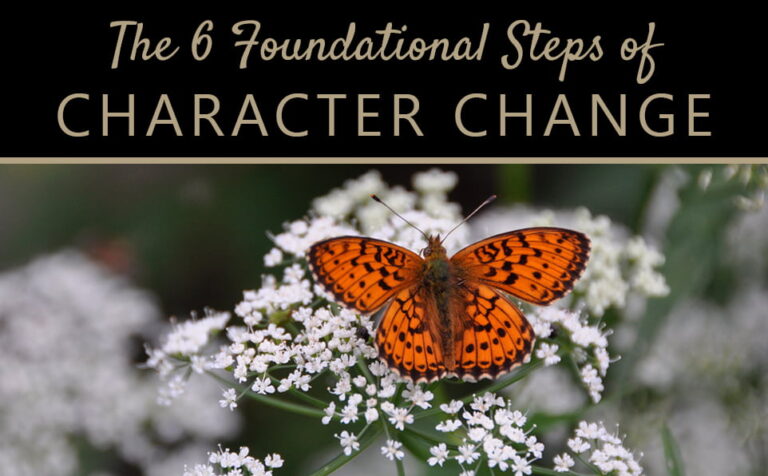 The 6 Foundational Steps of a Character Arc | The Character Comma